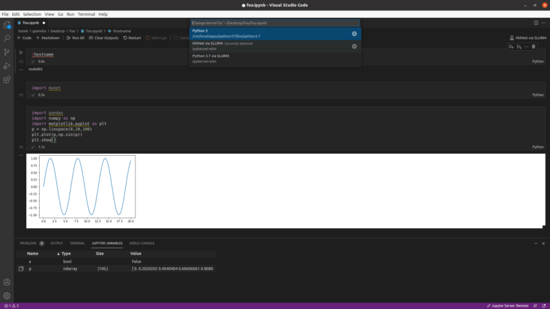 Running Jupyter kernels with an IDE | Bright Cluster Manager Knowledge Base