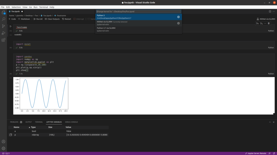 Running Jupyter kernels with an IDE | Bright Cluster Manager Knowledge Base